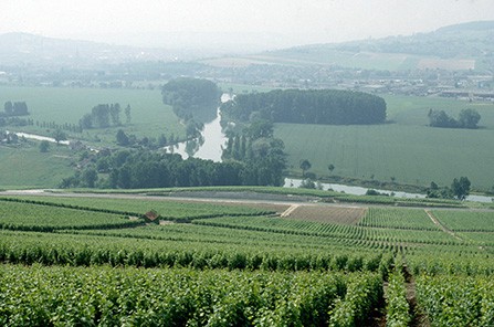 Champagne - French Country Waterways LTD